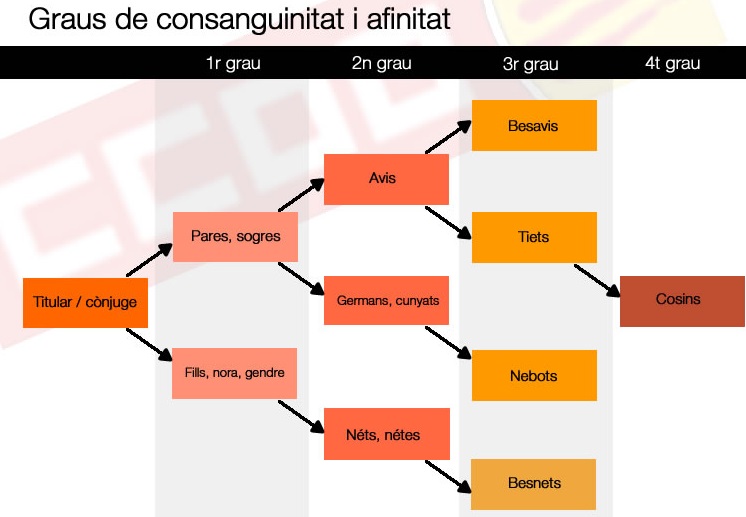 Grados de consanguinidad y afinidad - Diputació de Barcelona
